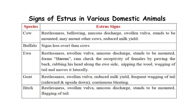 Estrus Signs and Behaviours in Farm Animals | PPTX