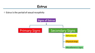 Estrus Signs and Behaviours in Farm Animals | PPT