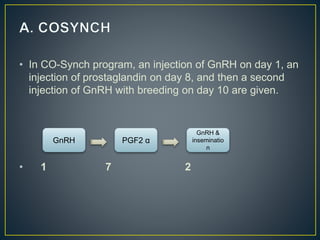 ESTRUS SYNCHRONIZATION | PPTX