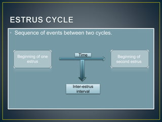 ESTRUS SYNCHRONIZATION | PPTX