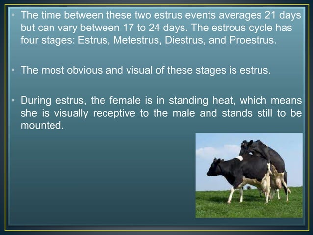 Estrus Synchronization Pptx Infertility Reproductive Health