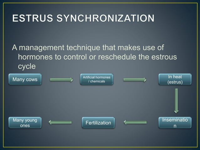 Estrus Synchronization Pptx Infertility Reproductive Health