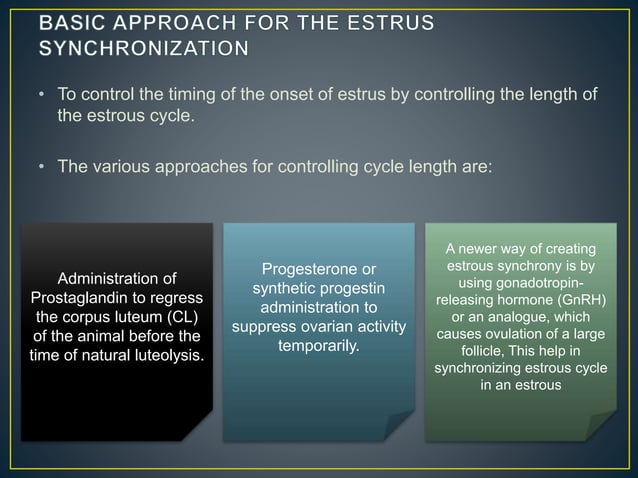 Estrus Synchronization Pptx Infertility Reproductive Health