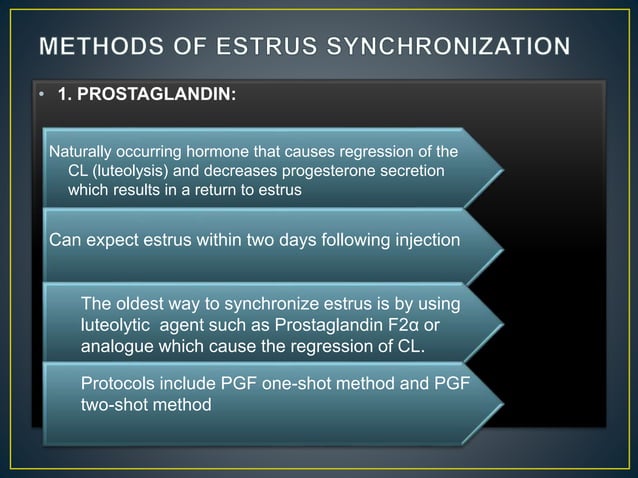 Estrus Synchronization Pptx Infertility Reproductive Health