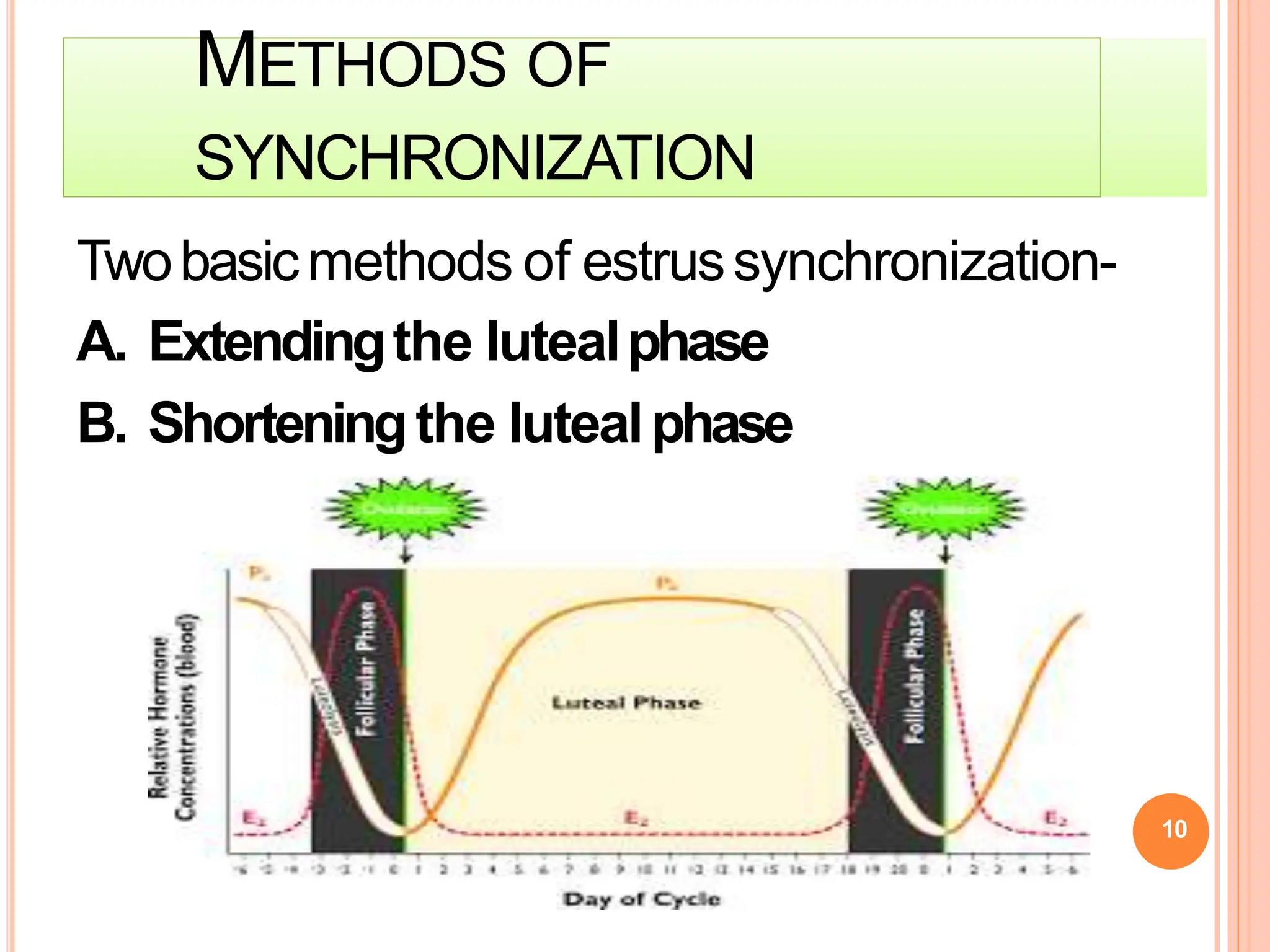estrus synchronization.pptx in cattle and | PPTX