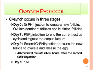 estrus synchronization.pptx in cattle and | PPTX