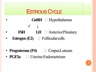 estrus synchronization.pptx in cattle and | PPTX