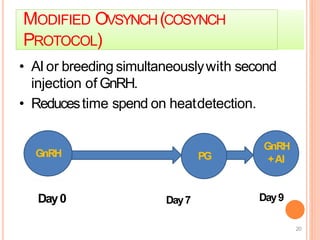 estrus synchronization.pptx in cattle and | PPTX