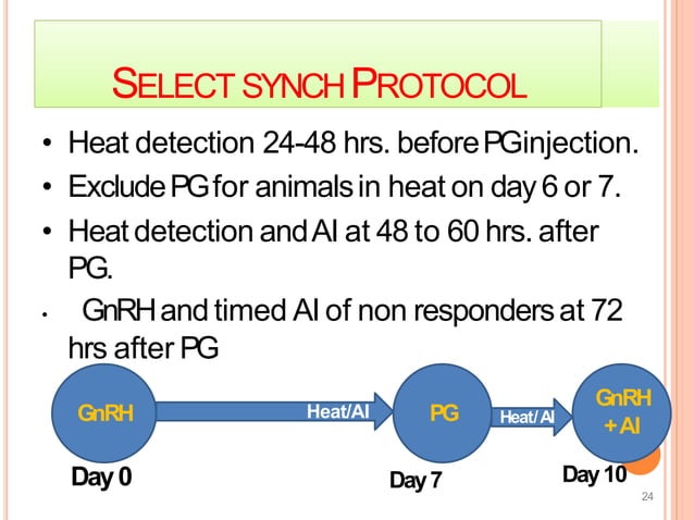 estrus synchronization.pptx in cattle and | PPTX