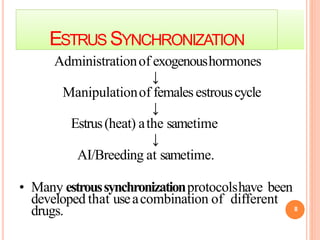 estrus synchronization.pptx in cattle and | PPTX