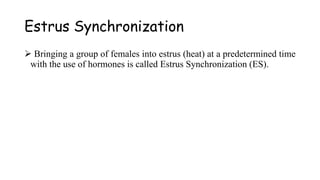 Estrus Synchronization In Domestic Animals ASmat-1.pptx