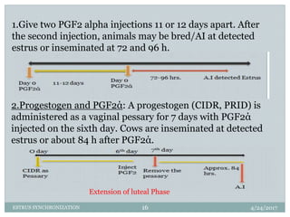 Estrus synchronization lecture 5 | PPTX