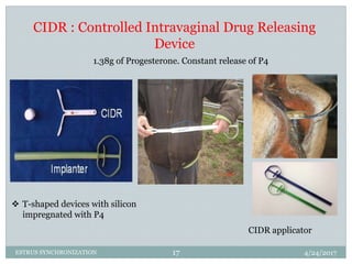 Estrus synchronization lecture 5 | PPTX