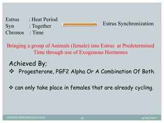 Estrus synchronization lecture 5 | PPTX