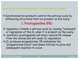 Estrus synchronization lecture 5 | PPTX