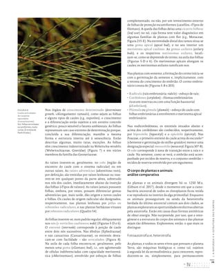 Estrutura-e-Biologia-das-Plantas.pdf