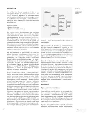 Estrutura-e-Biologia-das-Plantas.pdf