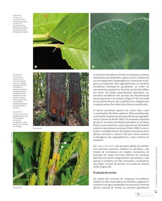 Estrutura-e-Biologia-das-Plantas.pdf