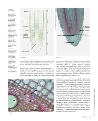 Estrutura-e-Biologia-das-Plantas.pdf