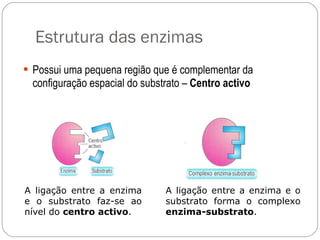 Estrutura das enzimas | PPT