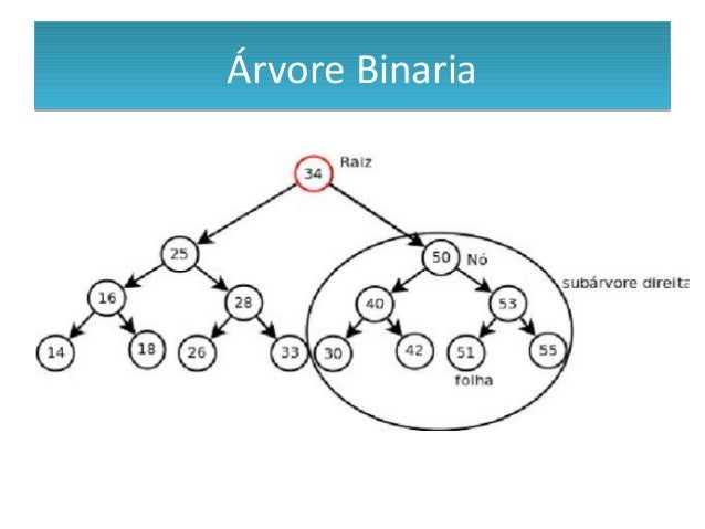 Estrutura de dados - Arvore Binaria