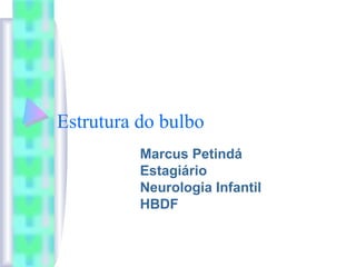 Estrutura do bulbo | PPT