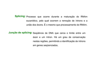 Estrutura do gene | PPT
