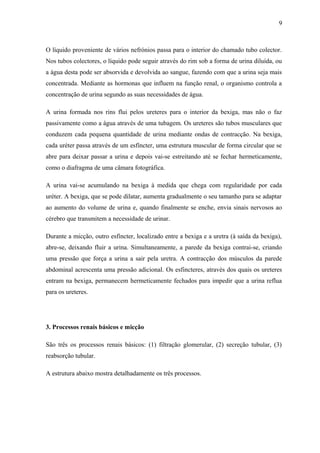 Estrutura e funcionamento do rim humano | DOC