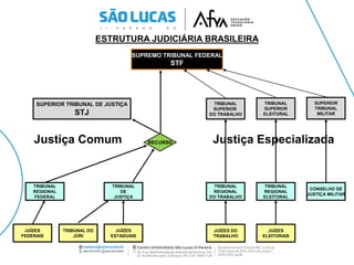 Estrutura e Organização Judiciária do Brasil.pdf