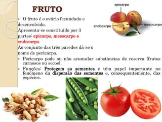 Estruturas das plantas | PPTX