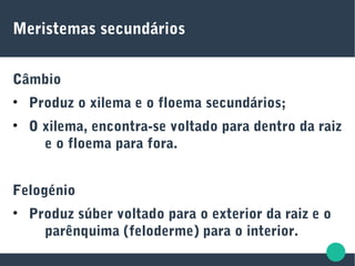 Estrutura secundaria da raiz | ODP