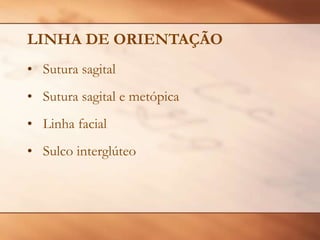 ESTÁTICA FETAL.ppt