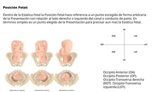 Estática fetal.pptx movimiento del feto durante el embarazo | PPTX