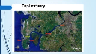 Estuaries-Where River meets the sea. | PPTX