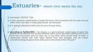 Estuaries-Where River meets the sea. | PPT