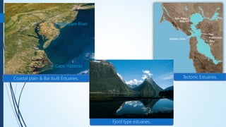 Estuaries-Where River meets the sea. | PPTX