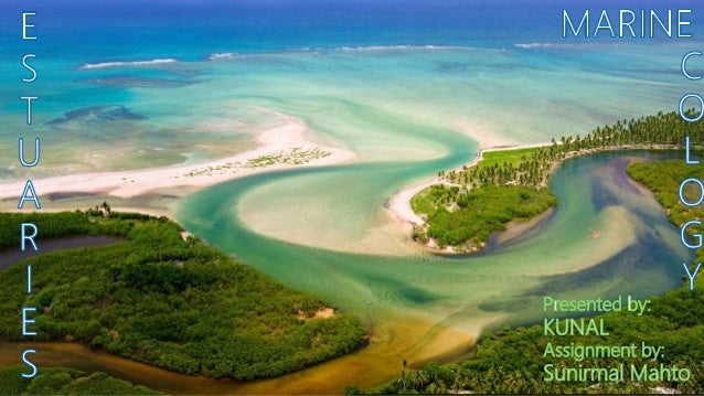 Estuaries-Where River meets the sea.