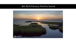 Estuaries | PPTX