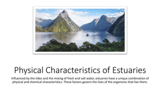 Estuaries | PPTX