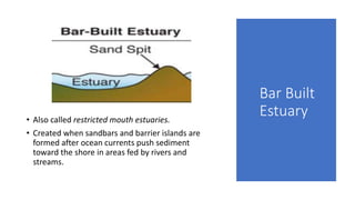 Estuaries | PPTX