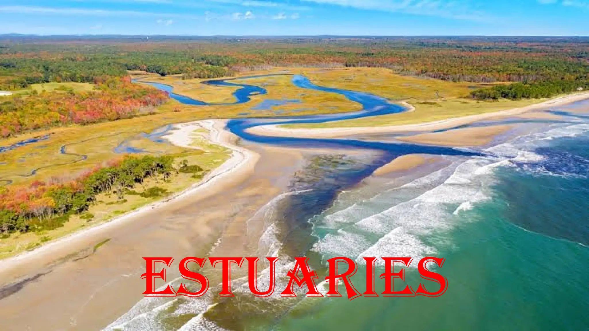 ESTUARIES: Definition, Importance, Kinds, Ecosystems, and Threats | PPTX