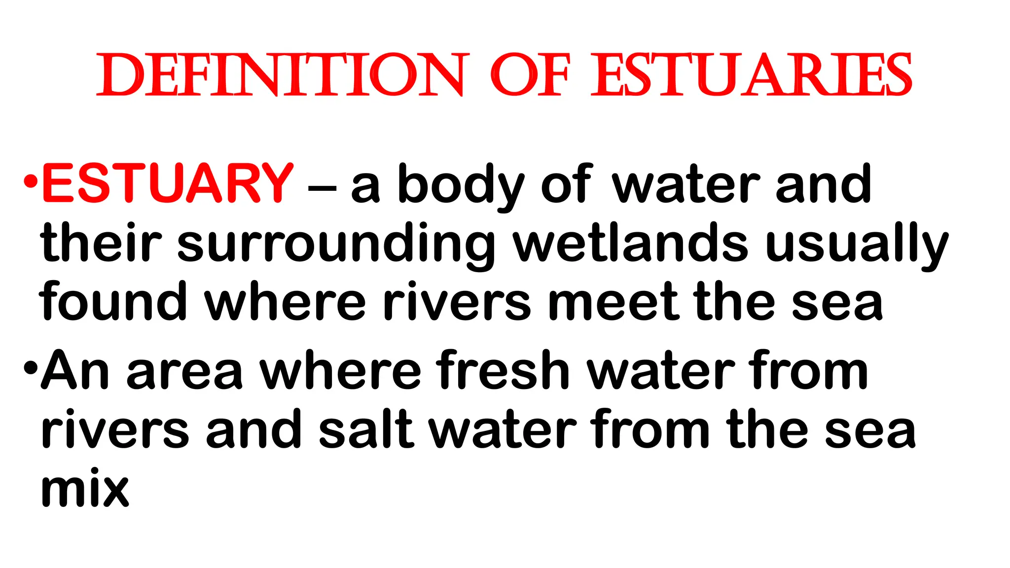 ESTUARIES: Definition, Importance, Kinds, Ecosystems, and Threats | PPT
