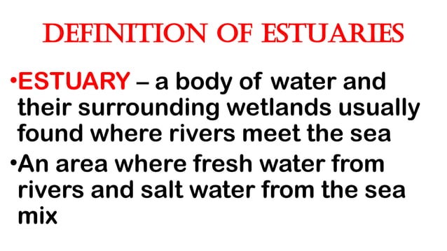 ESTUARIES: Definition, Importance, Kinds, Ecosystems, and Threats | PPT