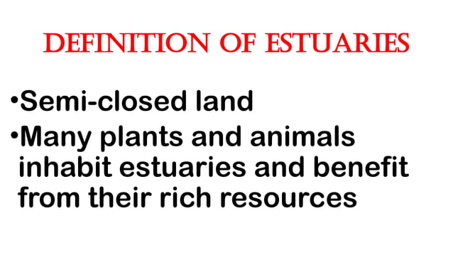ESTUARIES: Definition, Importance, Kinds, Ecosystems, and Threats | PPT