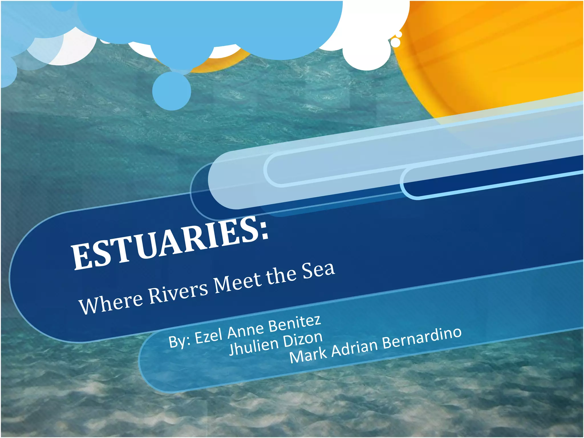 Estuaries: Introduction | PPTX