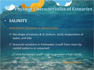 Estuaries: Introduction | PPTX