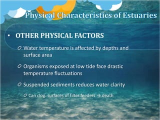 Estuaries: Introduction | PPTX