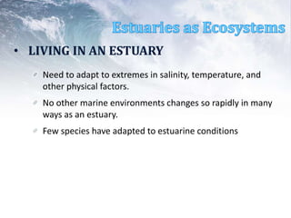 Estuaries: Introduction | PPTX