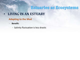 Estuaries: Introduction | PPTX