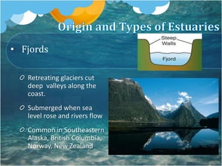 Estuaries: Introduction | PPTX
